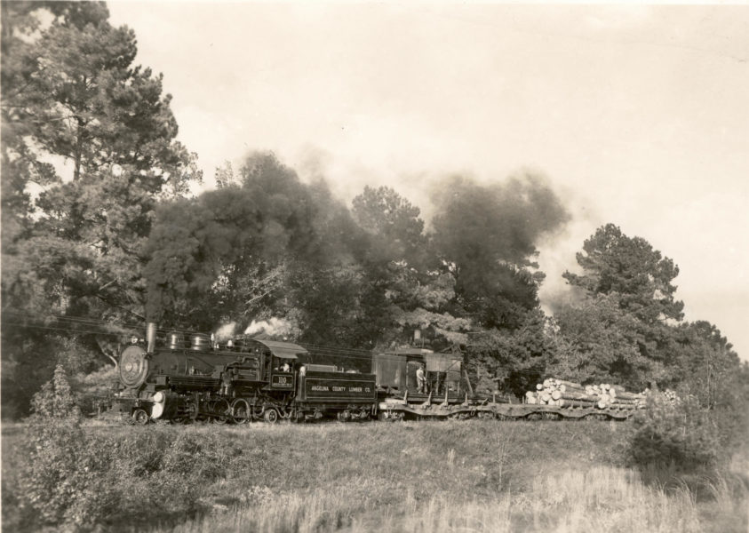 Gallery - Friends of ACHC