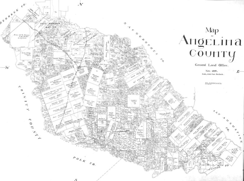 Gallery - Friends of ACHC